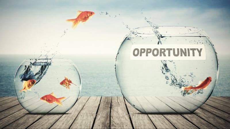 The HFC phase-down as an opportunity for forward-looking companies ...